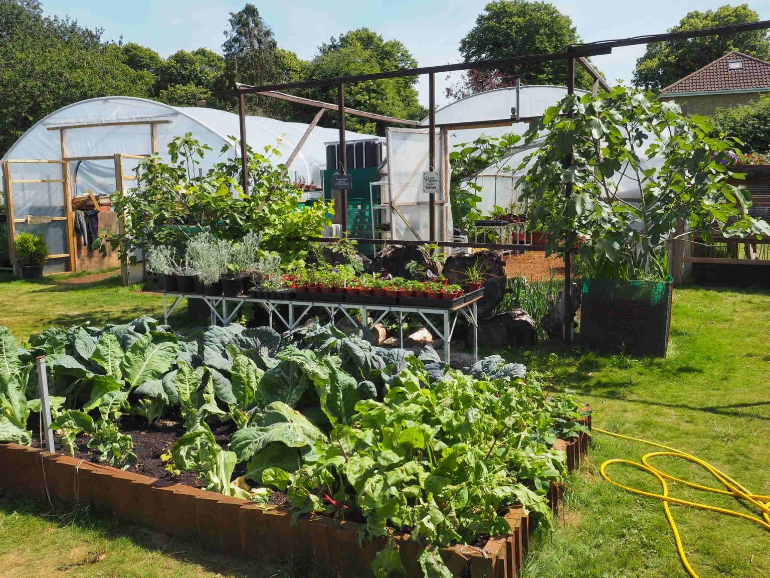 The rise of grassroots growing projects in Bristol