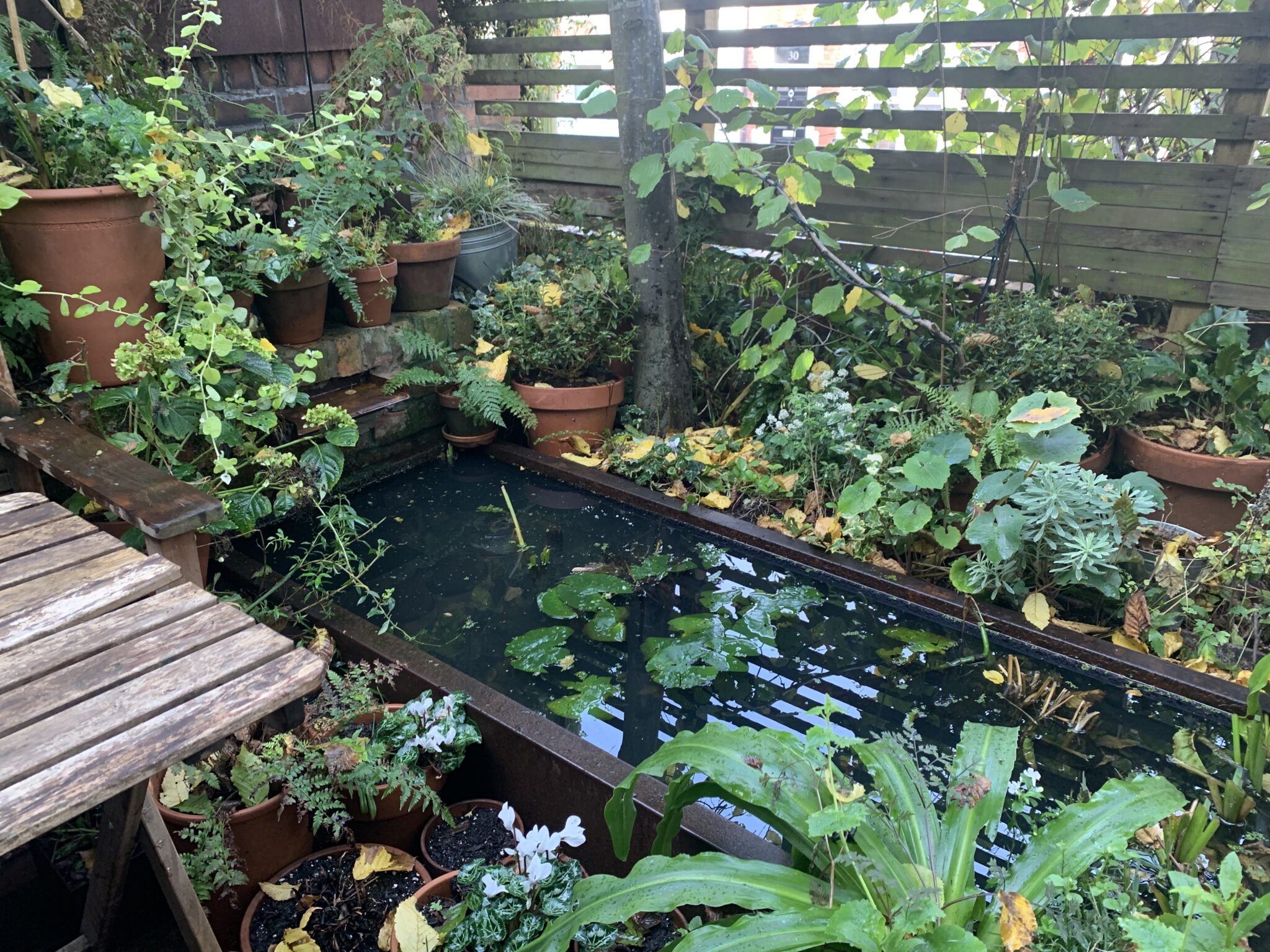 Bristol gardener shortlisted for Gardens of the Year Award