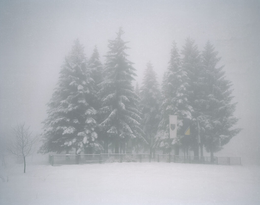 International contemporary photography exhibition to open at the Royal ...
