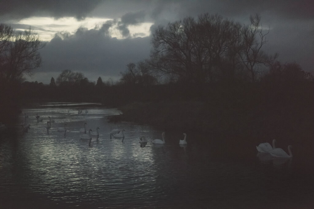 In photos: Jem Southam: A Bend in the River at the RWA