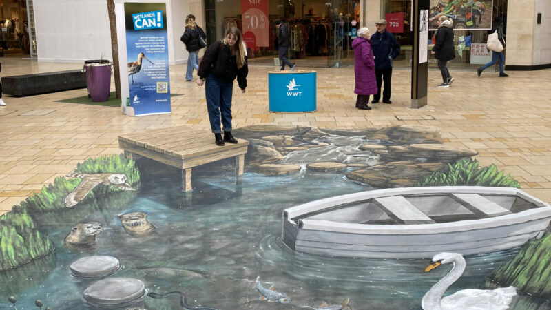 3D mural appears in city centre