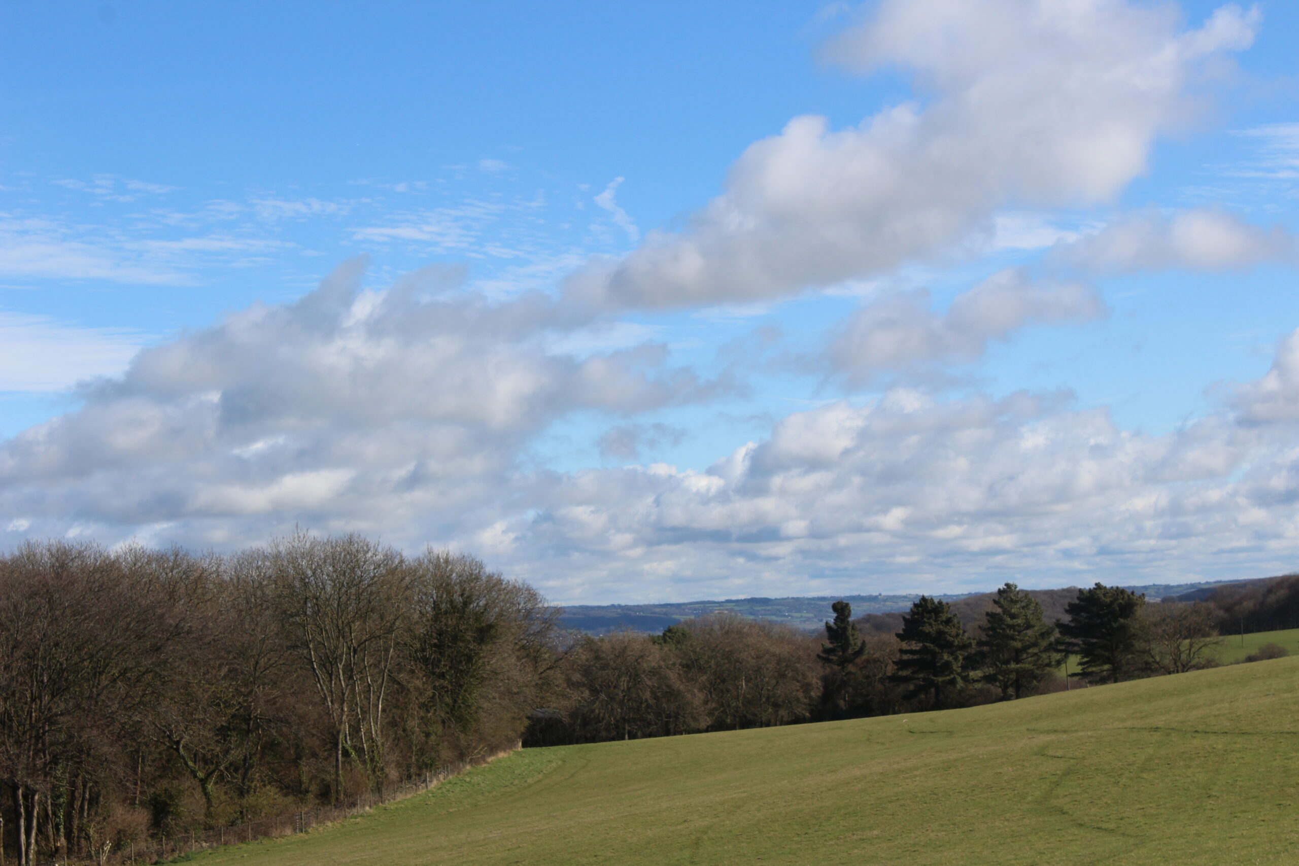 New BBC Attenborough series features nature reserves near Bristol