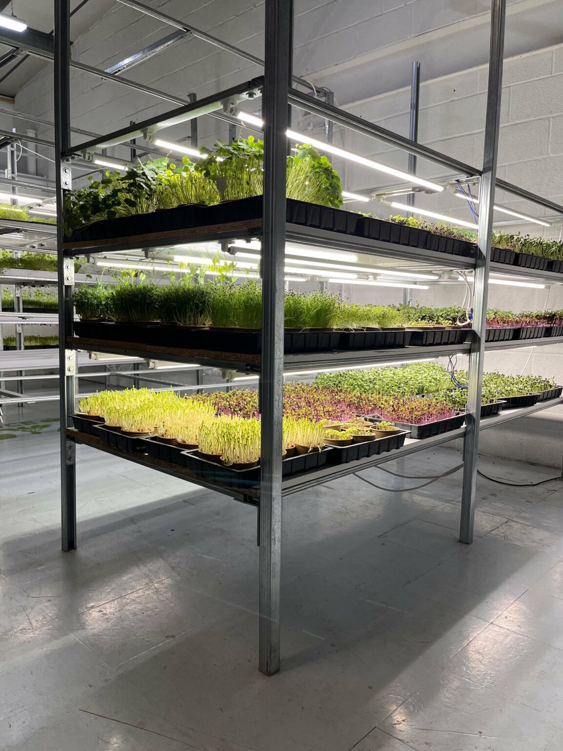 Small Scale Vertical Farming - GROZINE