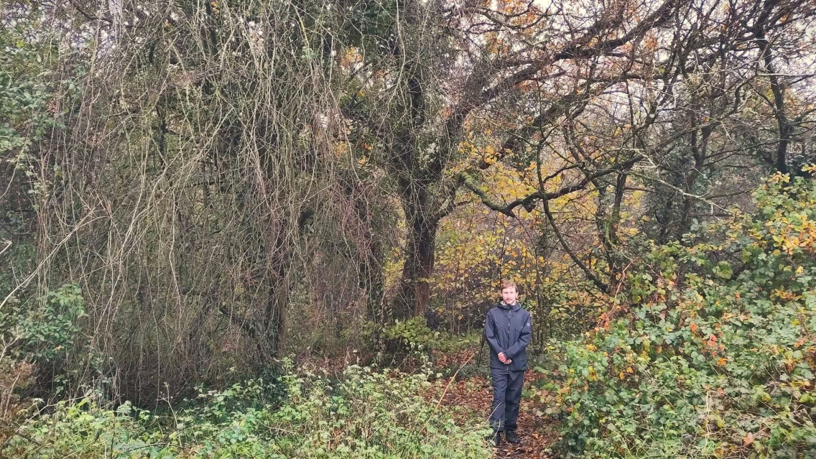 Stockwood makes space for nature