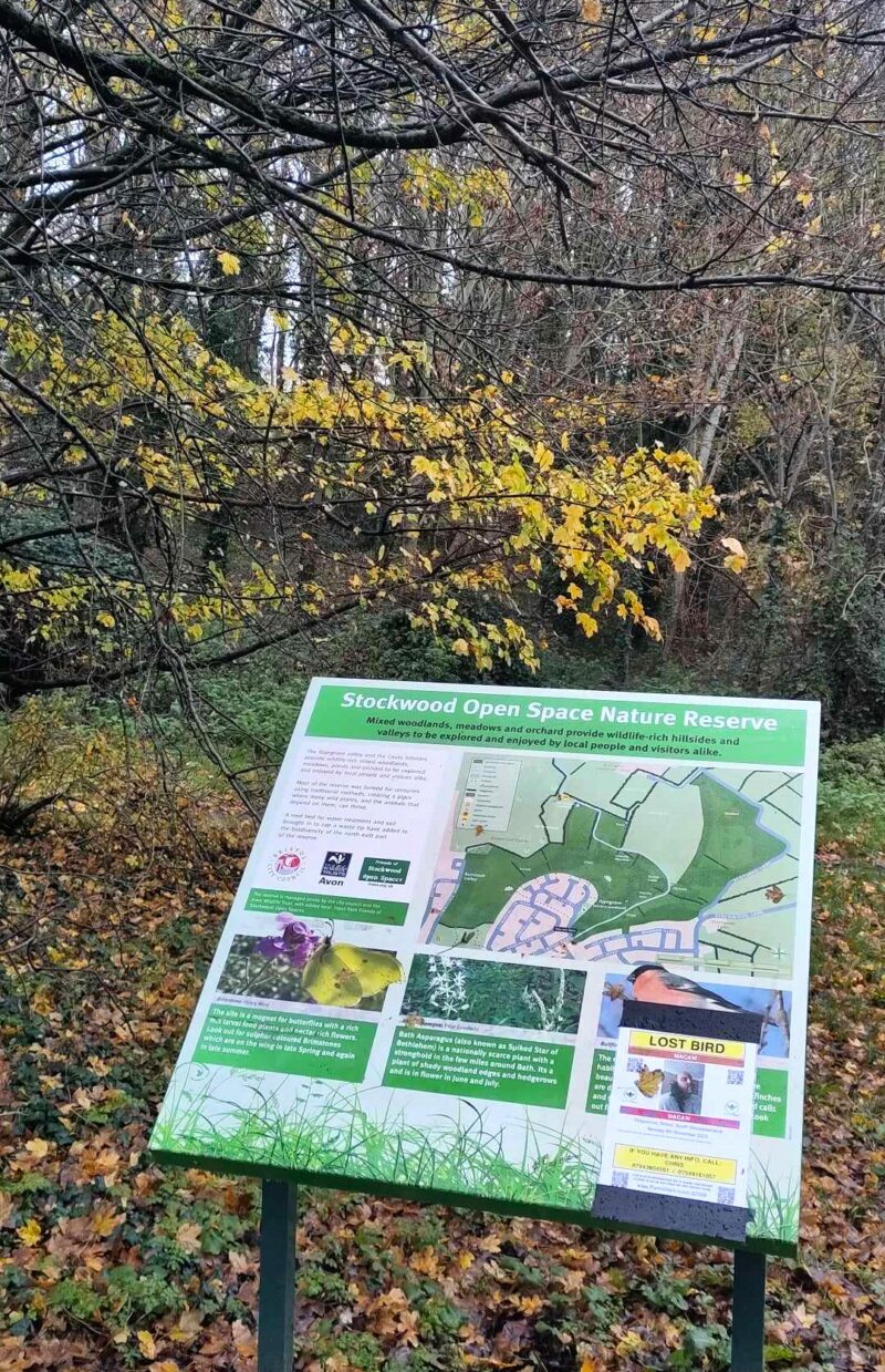 Stockwood makes space for nature