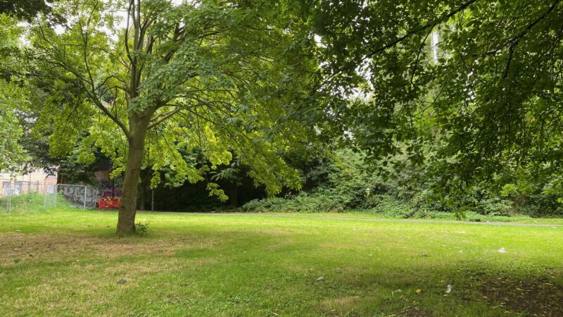 Charity hopes to 'reimagine' green spaces for BAME groups