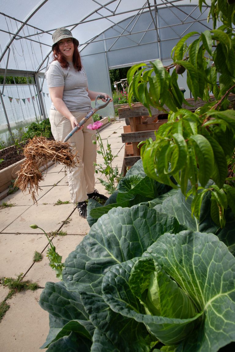 Hartcliffe City Farm - 'Positive connections between people, land and food'