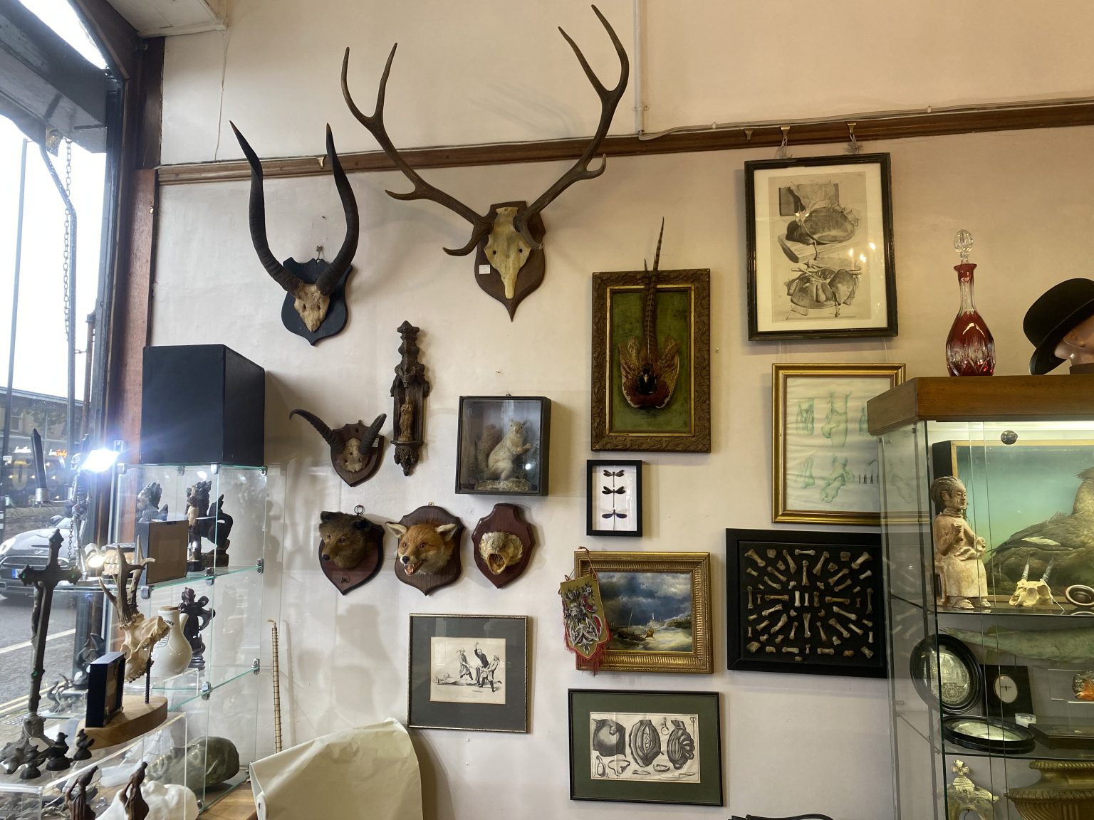 Shop of the week: How Odd, Perry Road