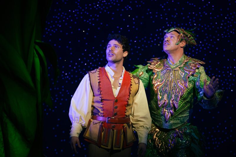 Review: Jack and the Beanstalk, Bristol Hippodrome – ‘A good old ...