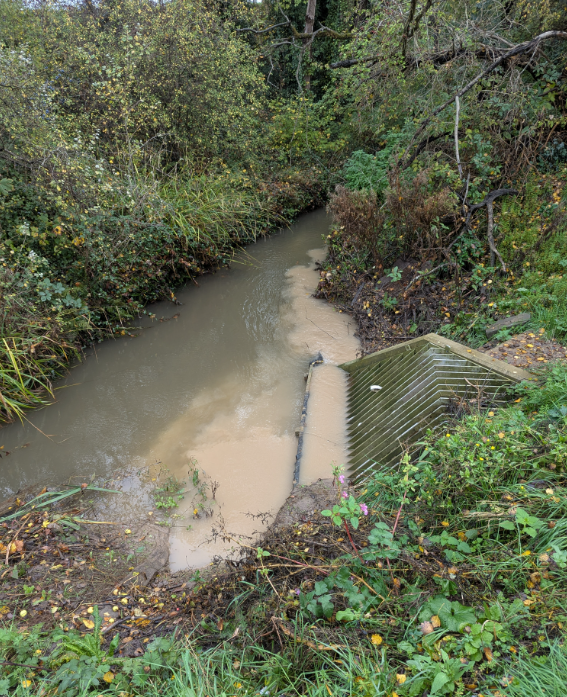 Unchecked 'preventable pollution' smothering Bristol rivers